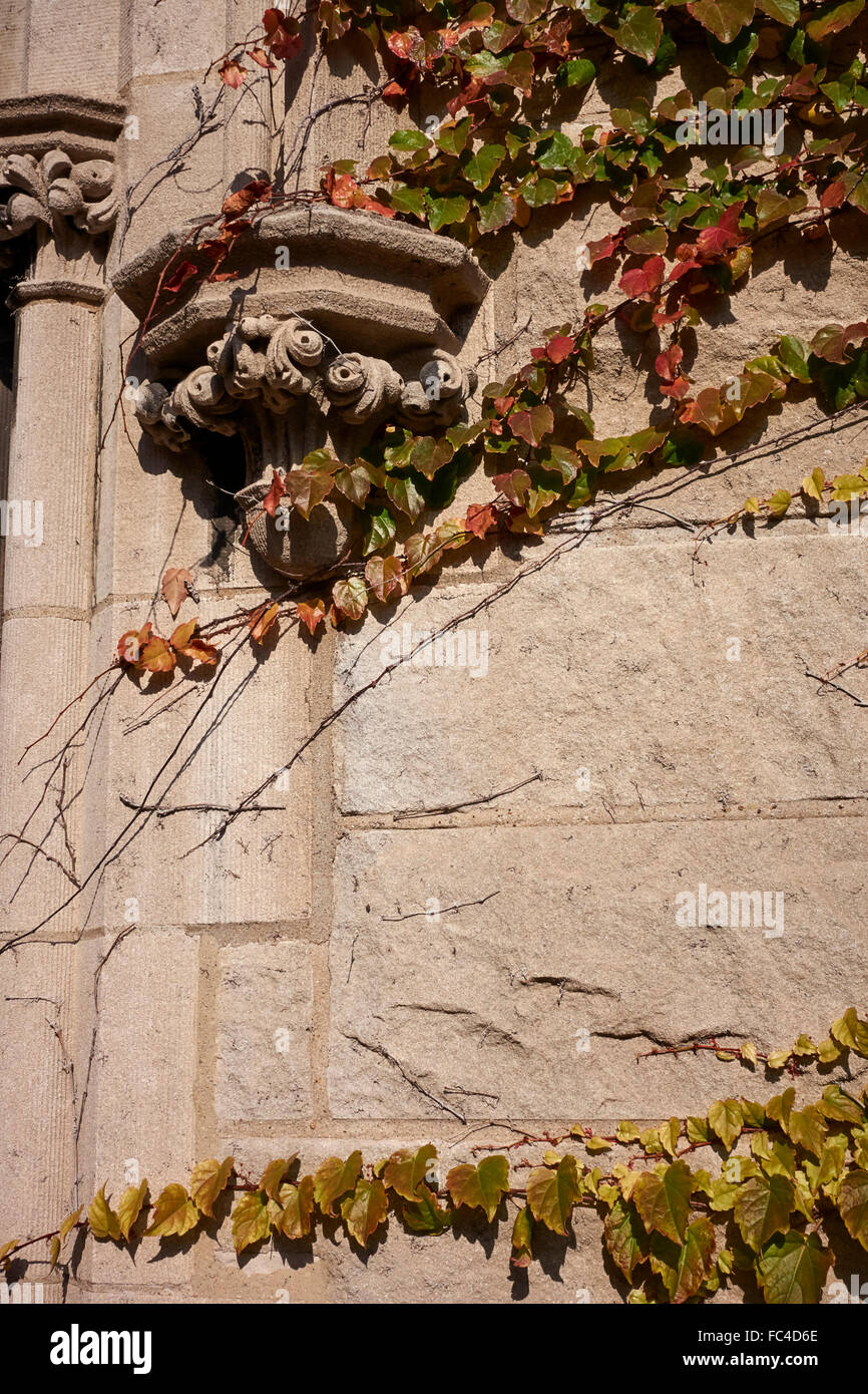 Classic gothic architecture hi-res stock photography and images - Alamy