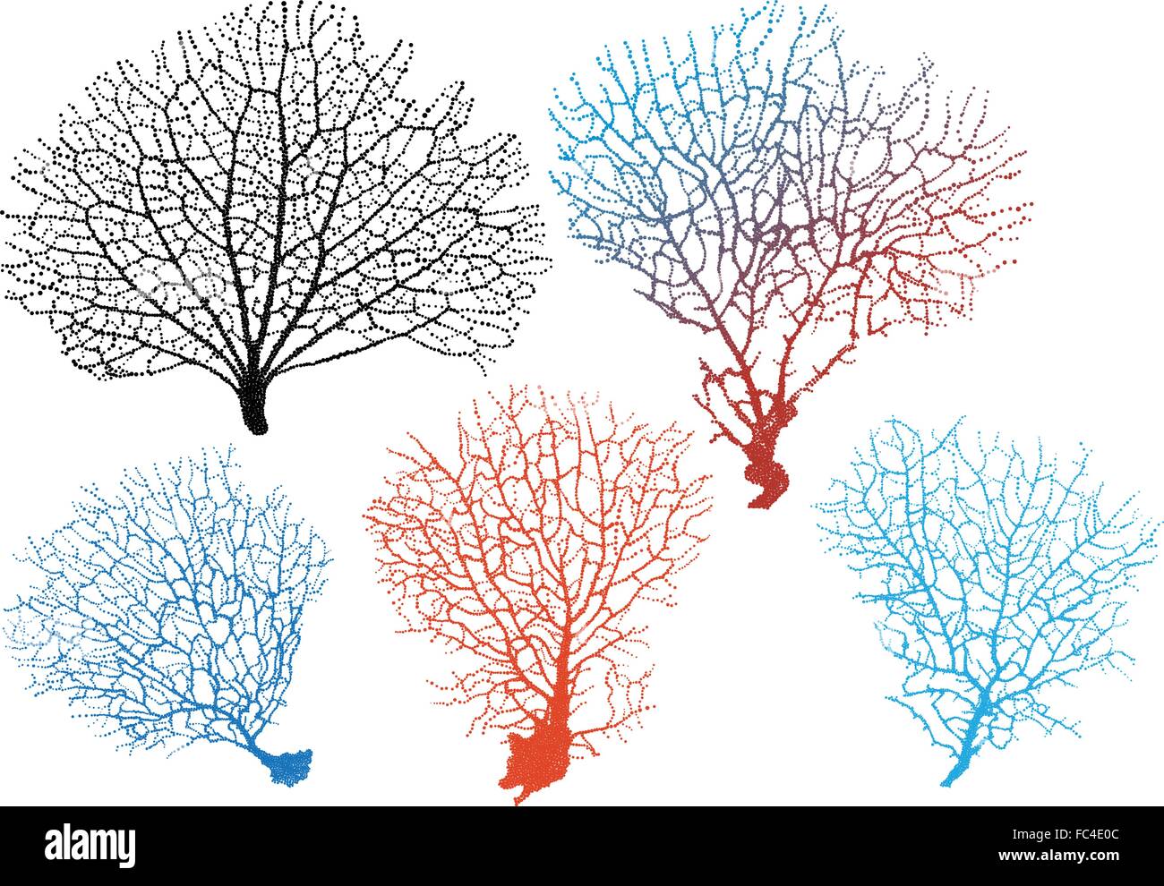 detailed black sea fan corals, vector set Stock Vector Image & Art - Alamy