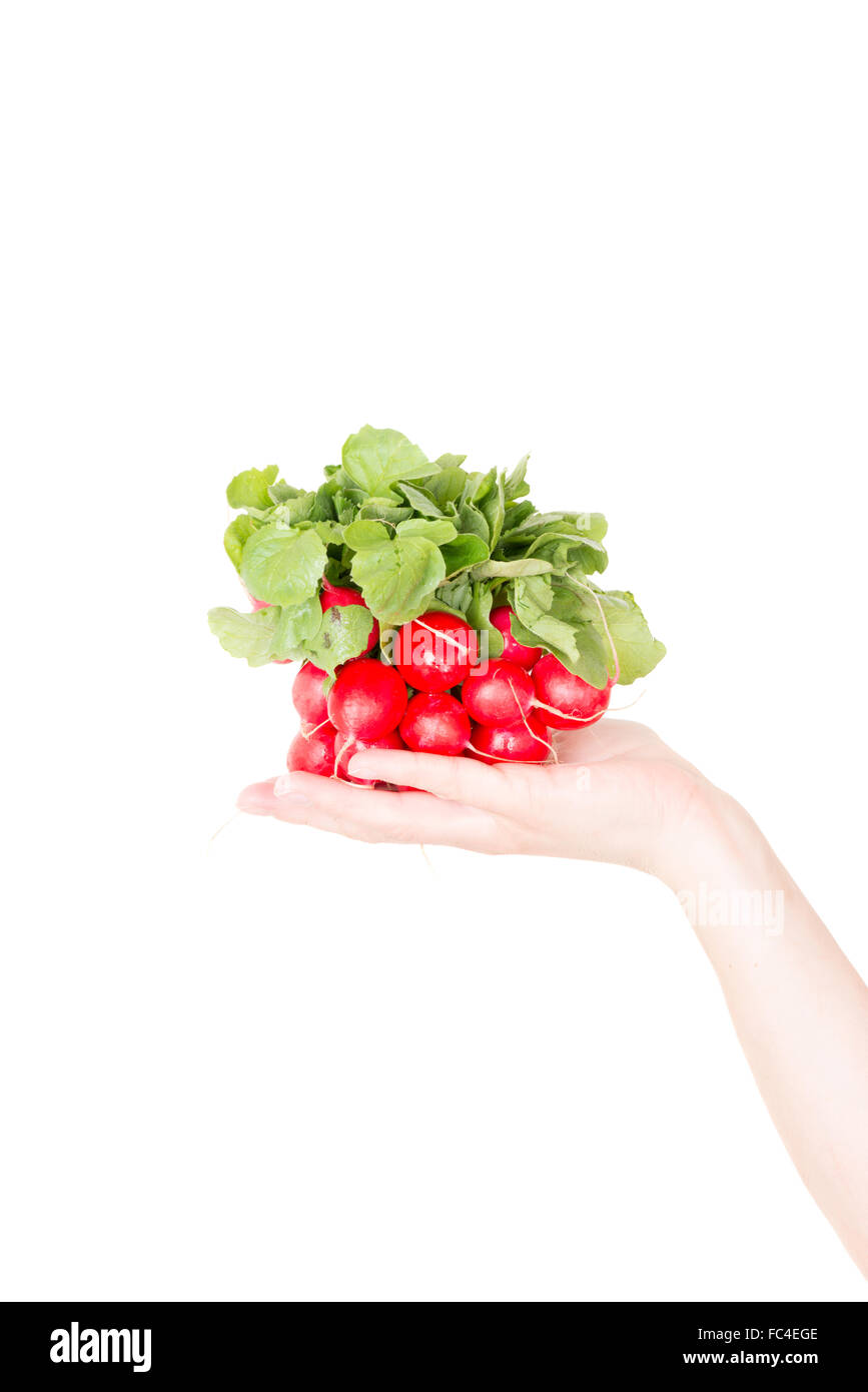 Organic farm radish in Cut Out Stock Images & Pictures - Alamy