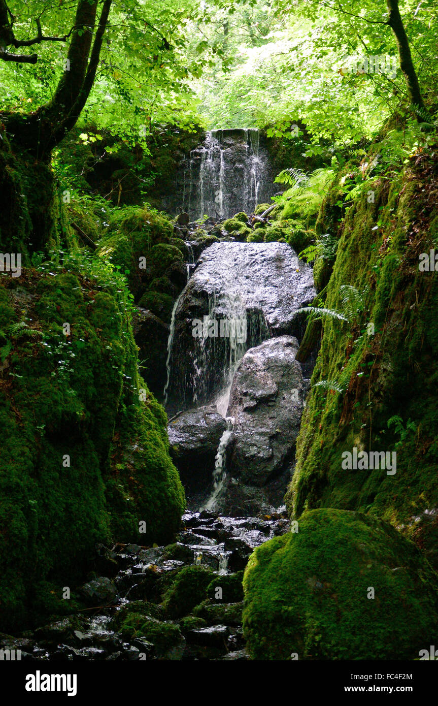 Waterfall at the foot of Canonteign Falls Stock Photo - Alamy