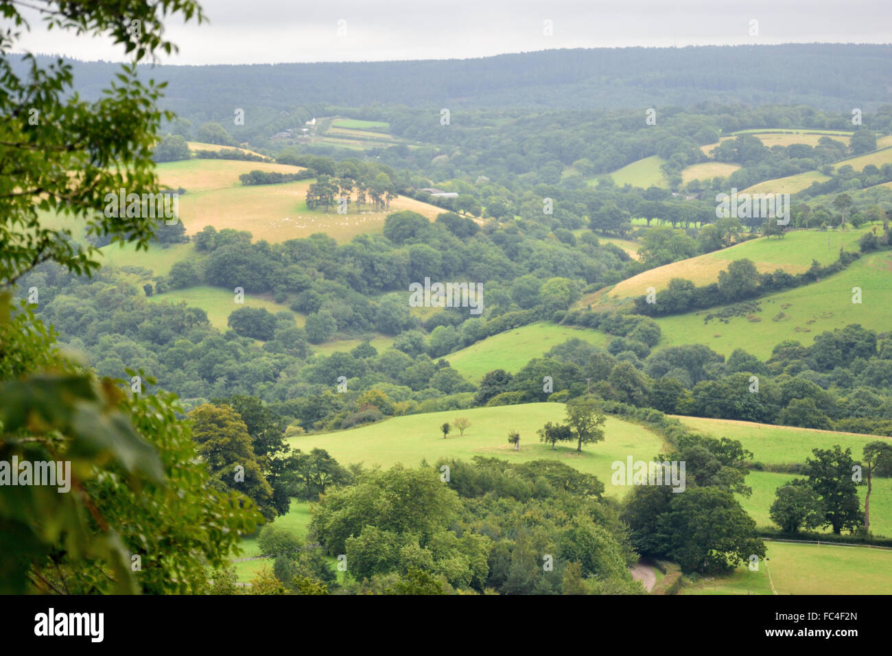 Teign valley hi-res stock photography and images - Alamy