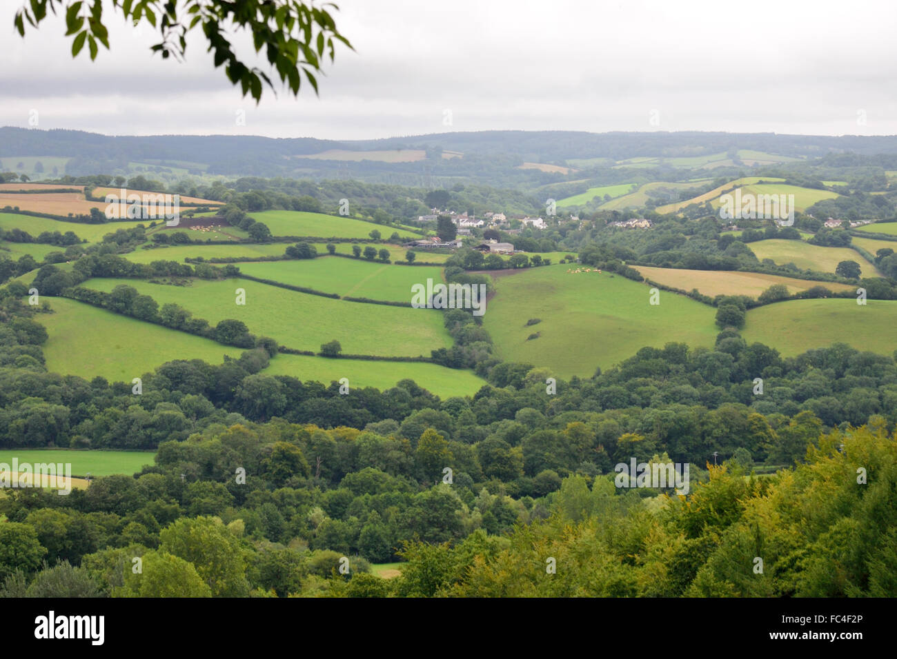 Teign valley devon hi-res stock photography and images - Alamy