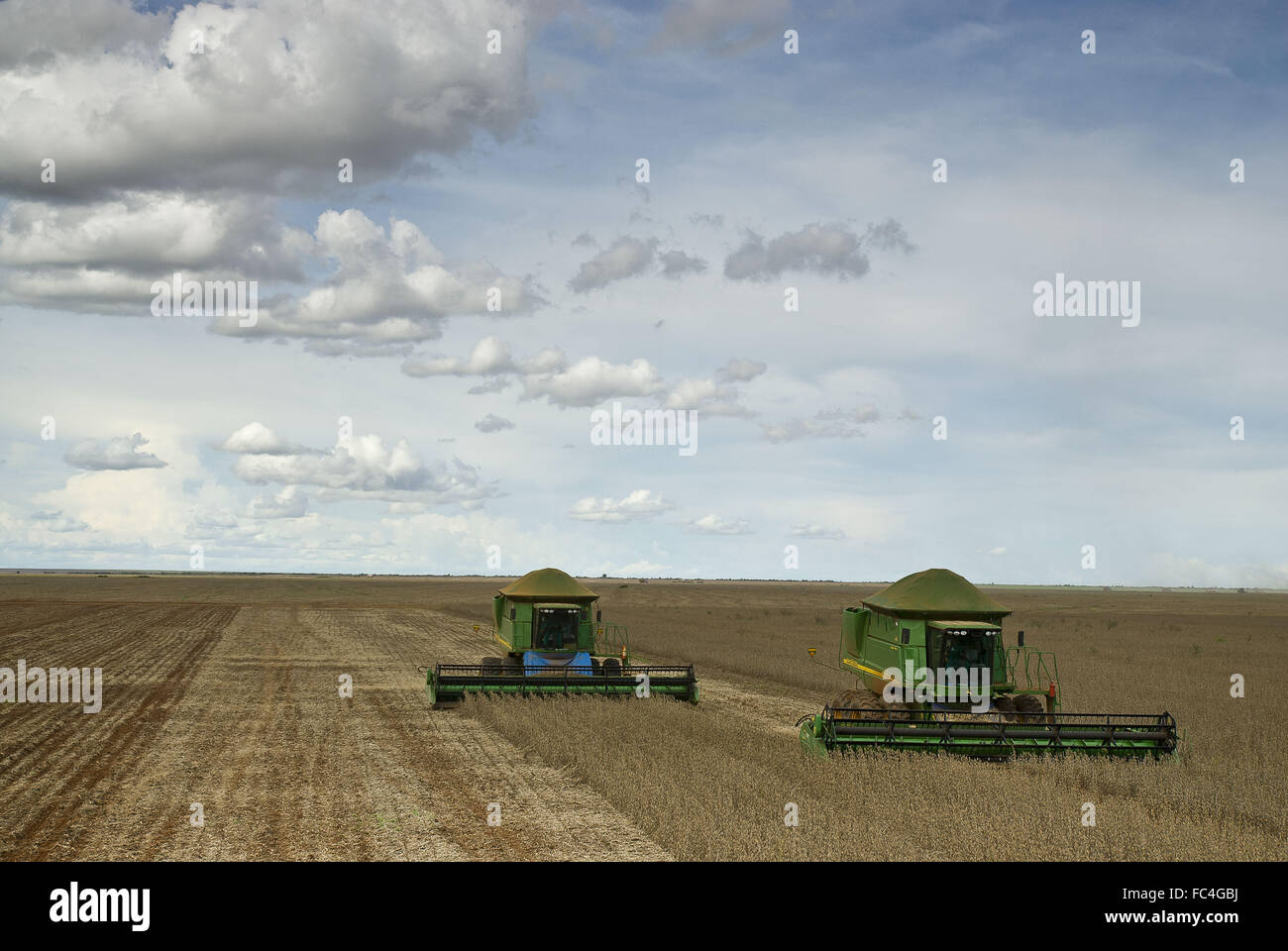 Soybean harvesting mato grosso hi-res stock photography and images - Alamy