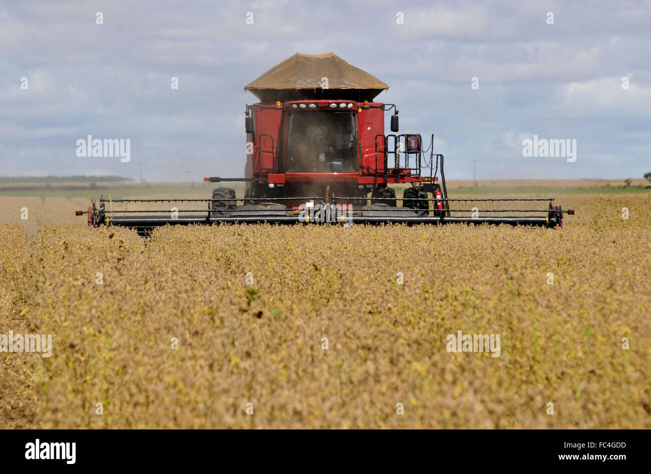 Combine harvesting soybeans Stock Photo - Alamy