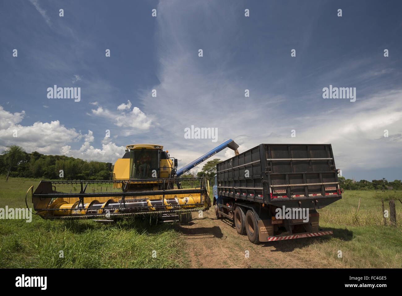 Grain truck hi-res stock photography and images - Alamy