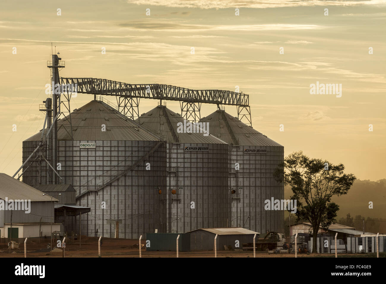 Grain storage silos - soybeans, corn and wheat Stock Photo - Alamy