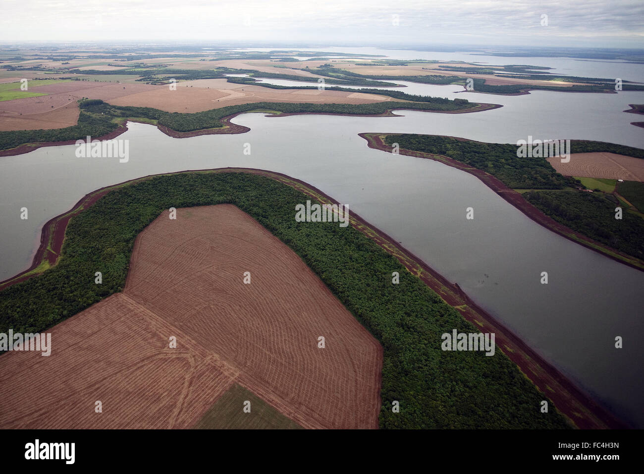 Aerial view of the farm on the shores of Lake Itaipu with soybeans ...