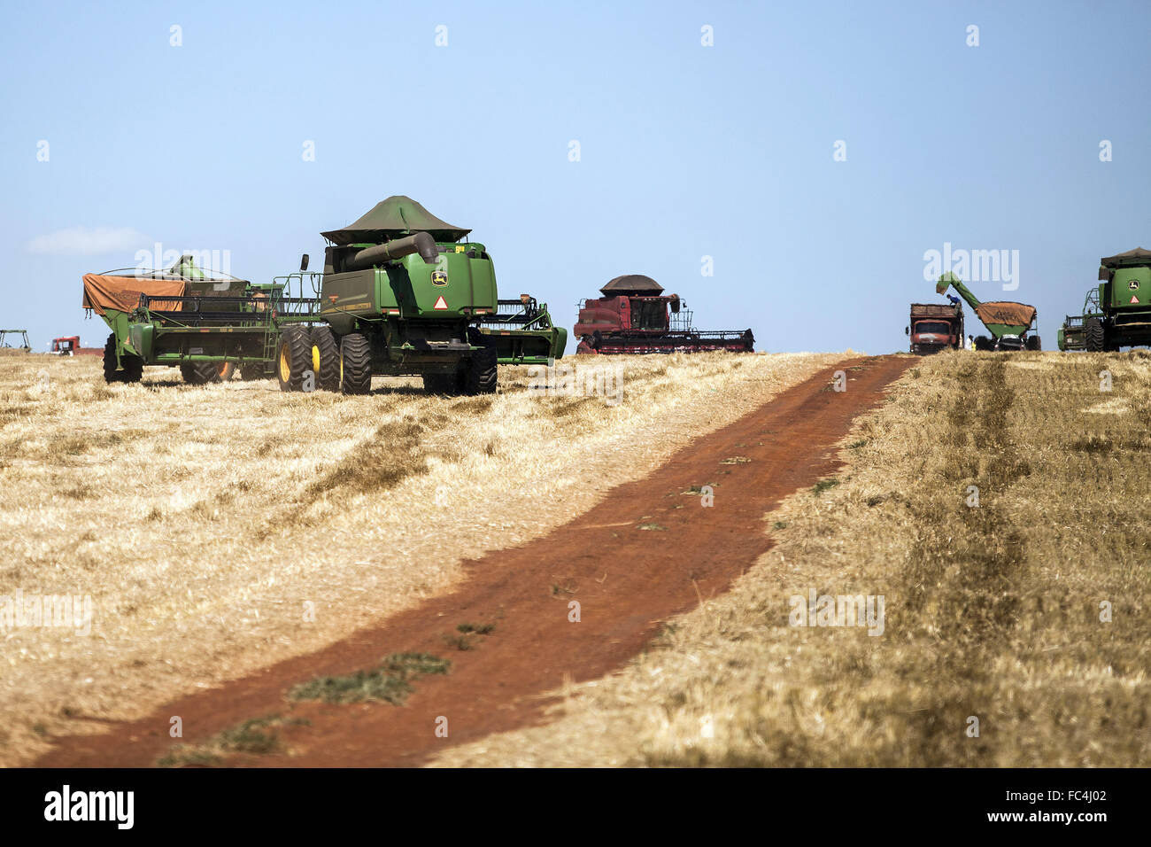 Mechanical harvesting wheat in the countryside Stock Photo - Alamy