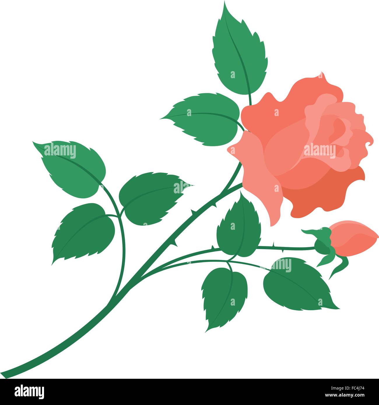 Growing rose Stock Vector Images - Alamy