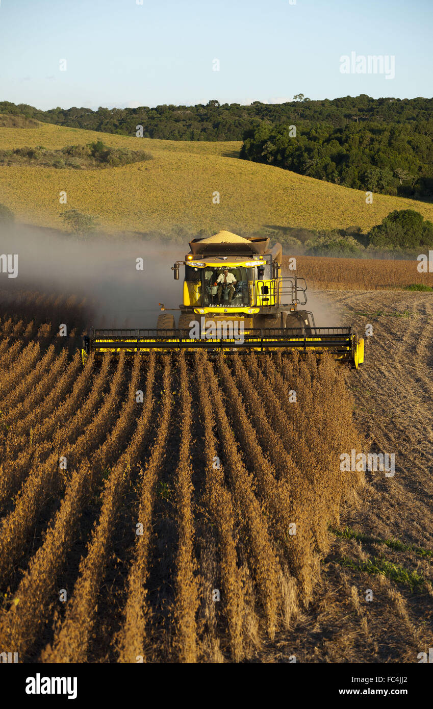 Soybean harvest hi-res stock photography and images - Alamy