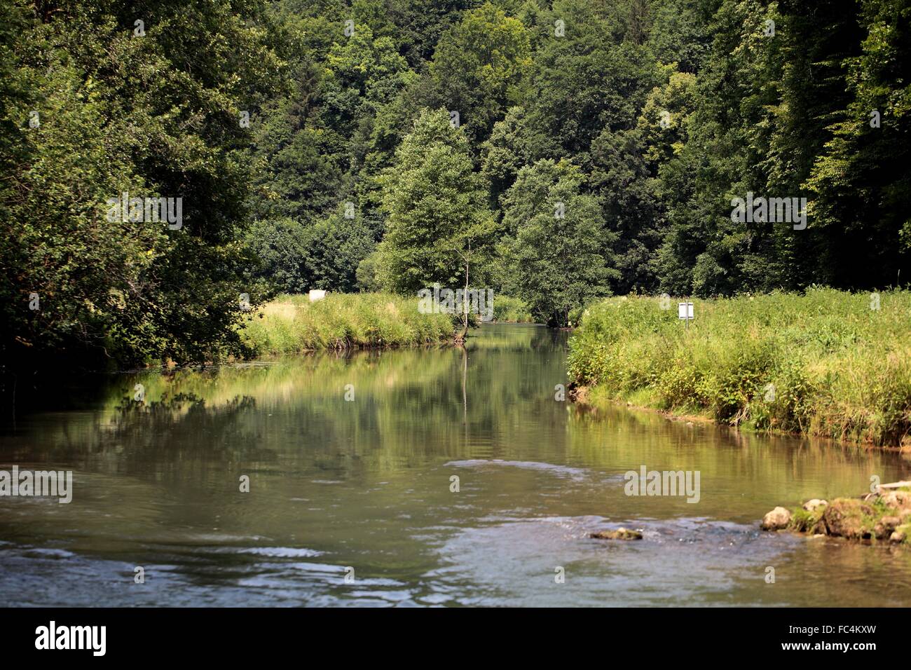 Wiesent hi-res stock photography and images - Alamy