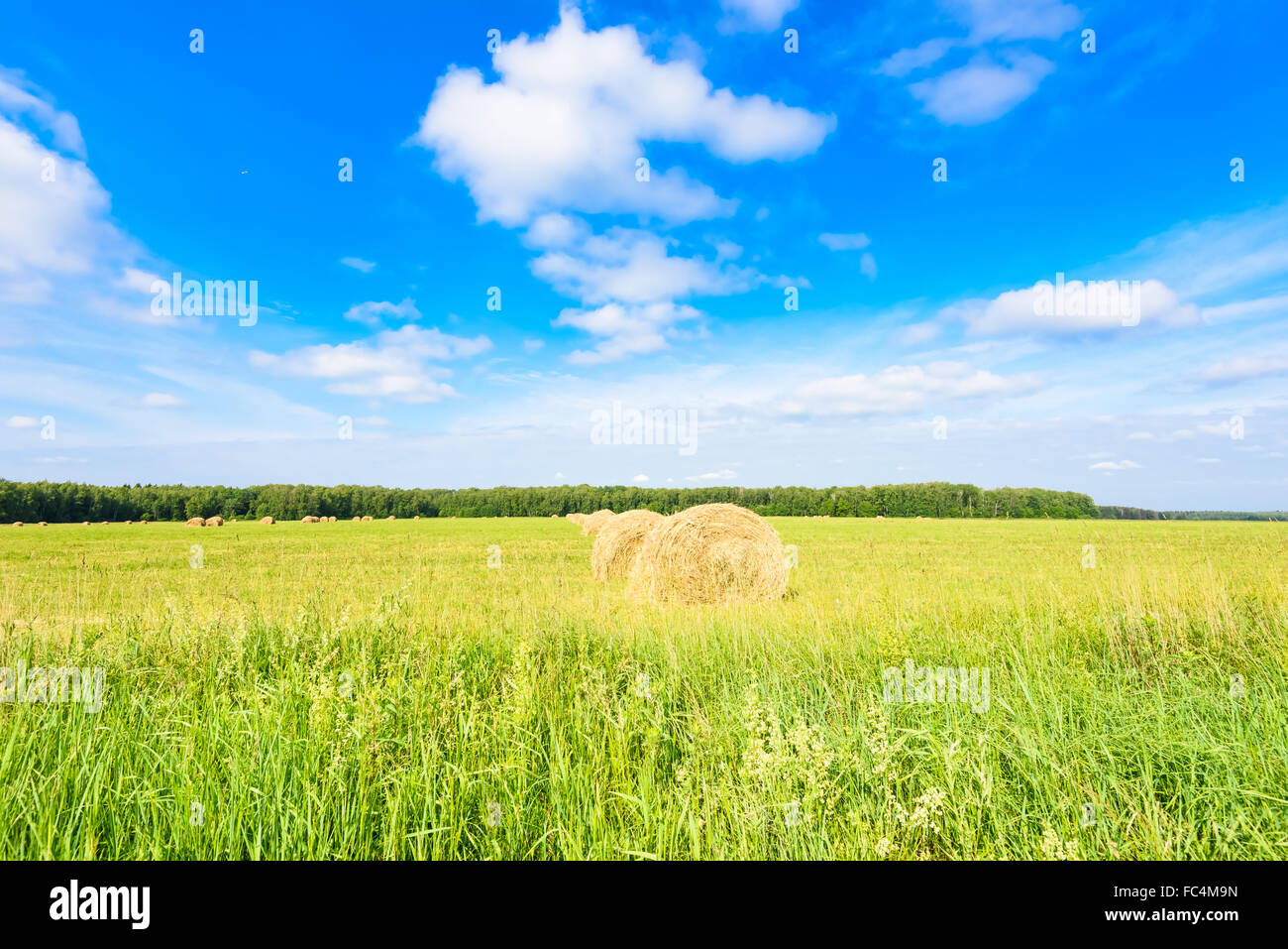 Bale hay farm farming pattern nature hi-res stock photography and ...