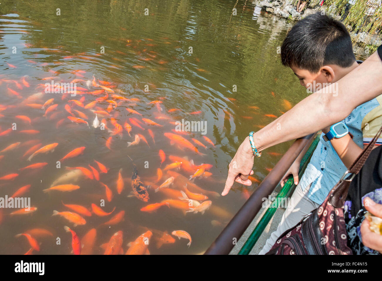 Mother points to Koi fish in West Lake, a freshwater lake in Hangzhou ...