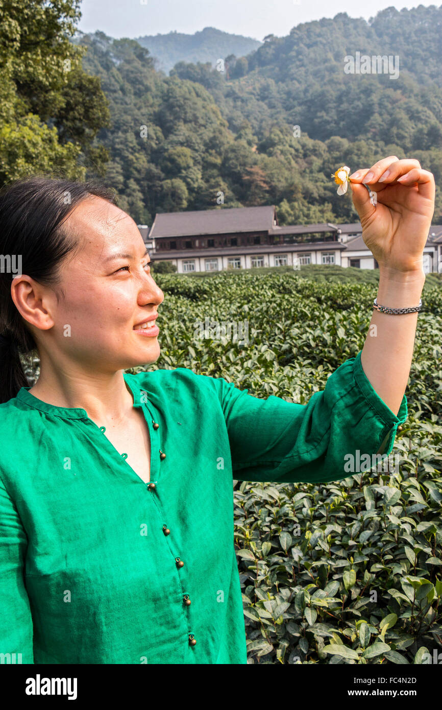 Chinese tea village hi-res stock photography and images - Alamy