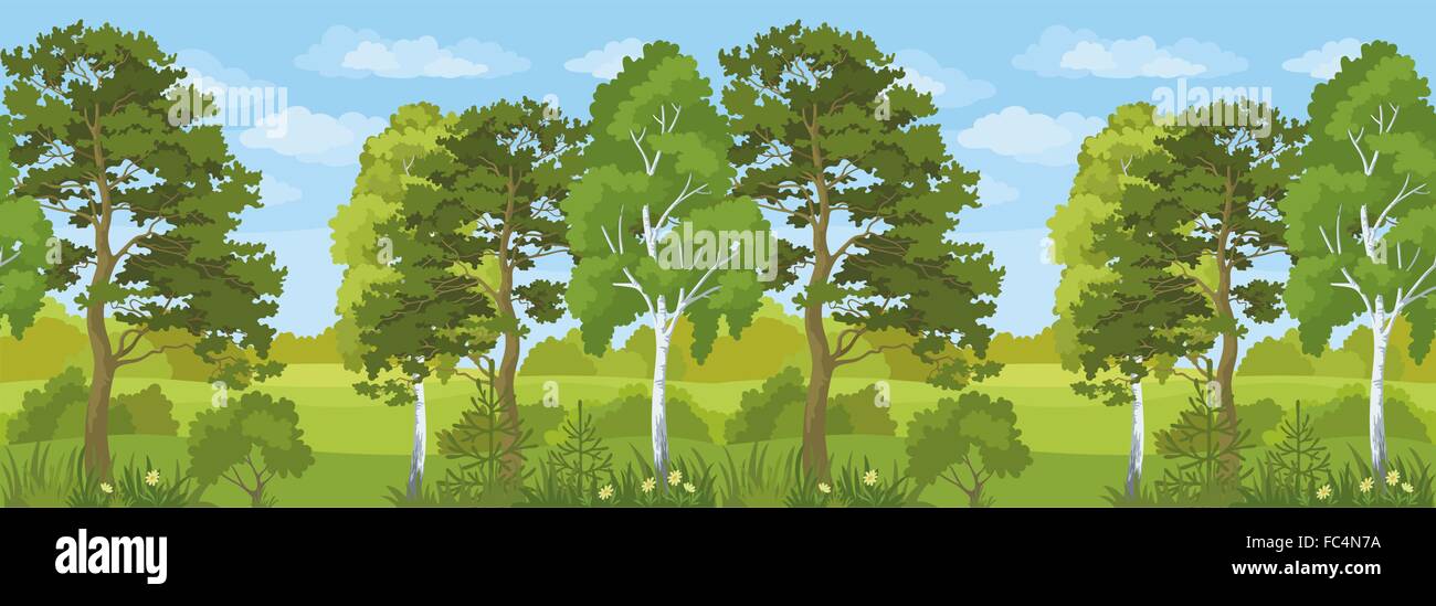Seamless Horizontal Landscape, Summer Forest Stock Vector Image & Art ...