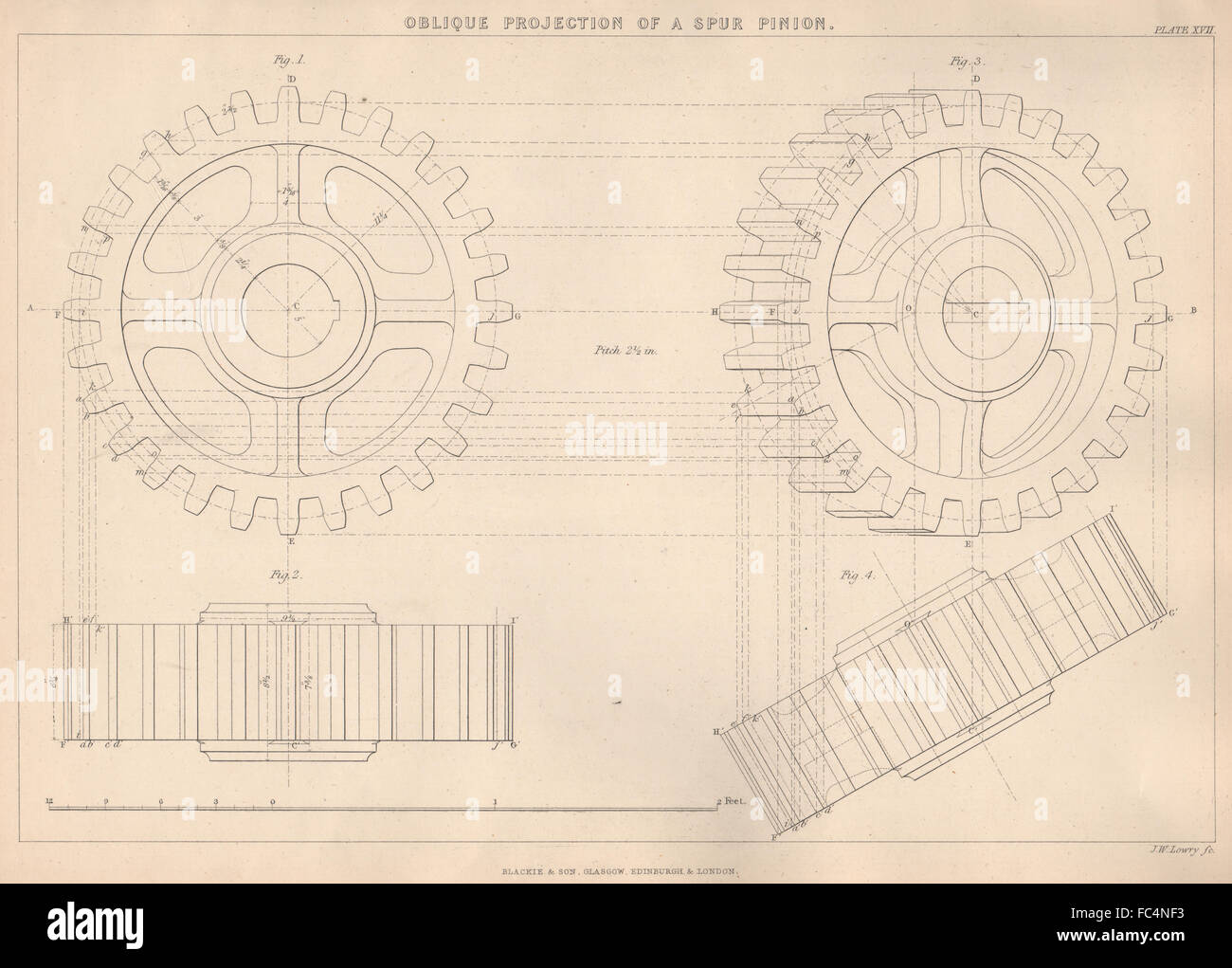 VICTORIAN ENGINEERING DRAWING. Oblique Projection of a Spur-Pinion ...