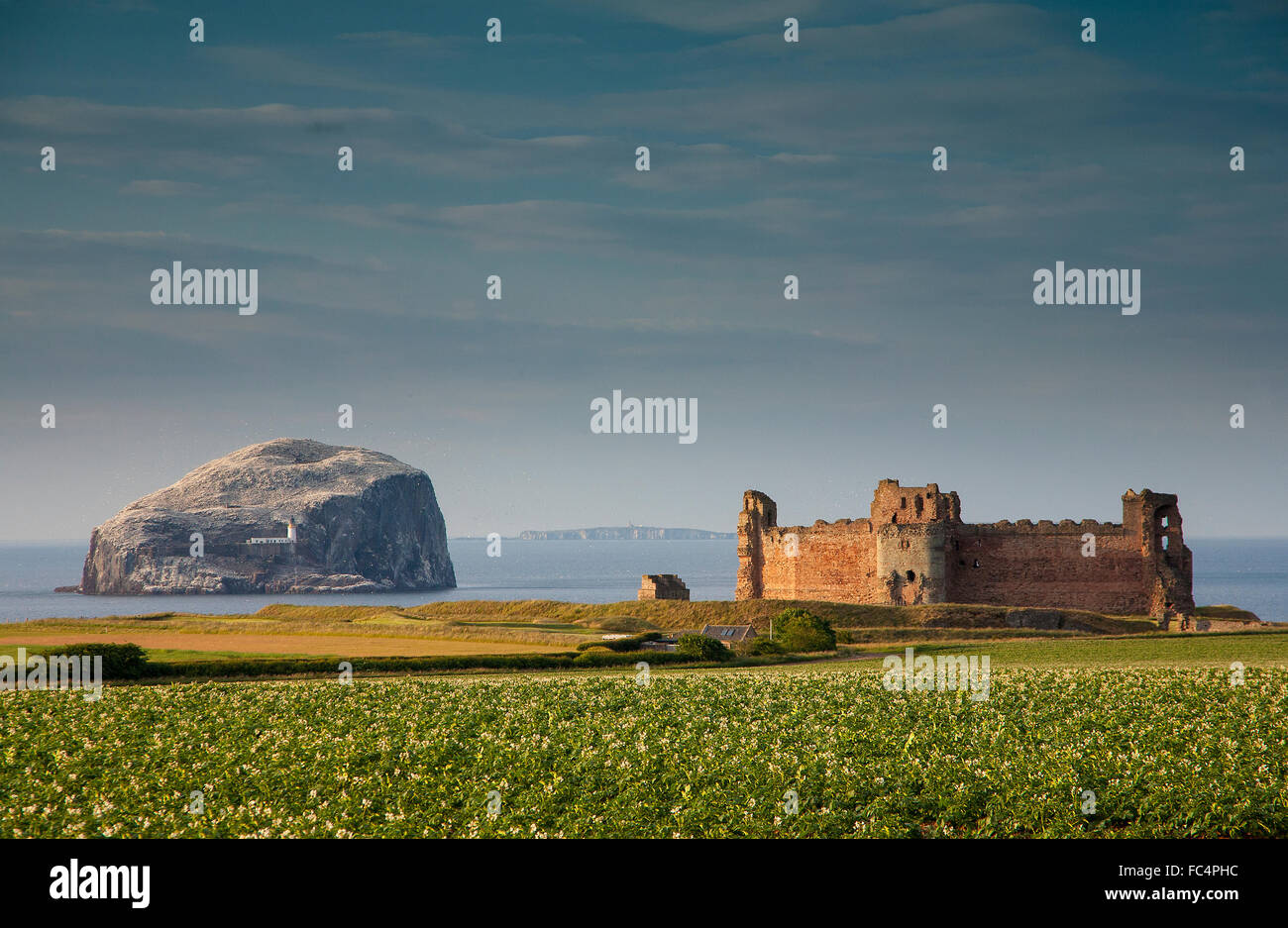 North berwick sights hi-res stock photography and images - Alamy