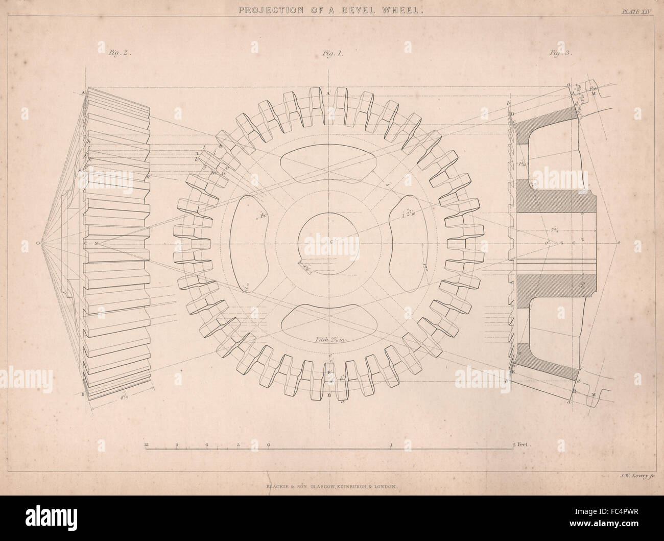 VICTORIAN ENGINEERING DRAWING. Projection of a Bevel-Wheel, antique ...