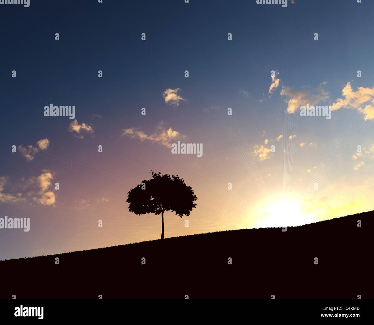 landscape with a lonely tree and horizon Stock Photo - Alamy