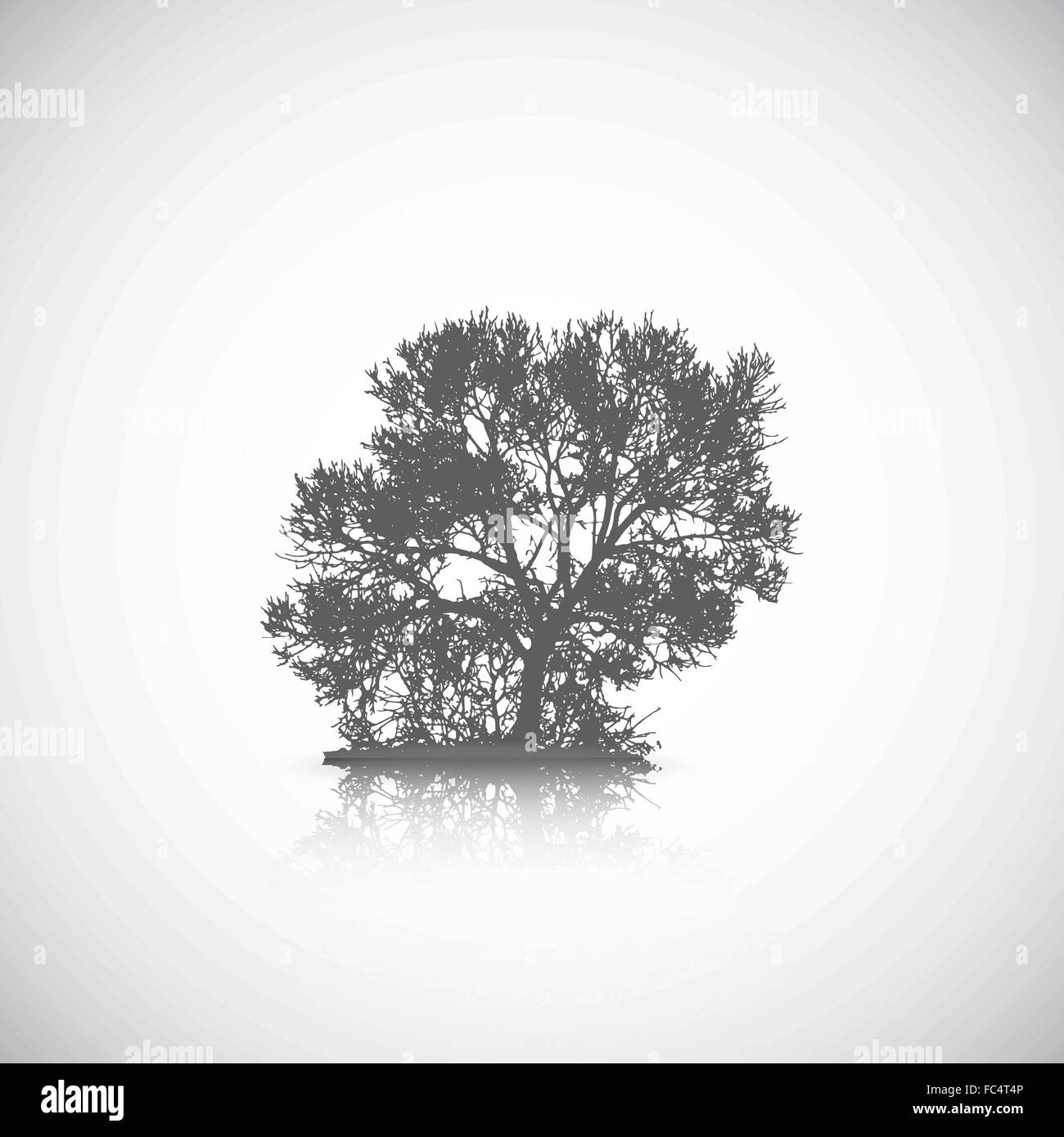 Strong oak tree Stock Vector Images - Alamy