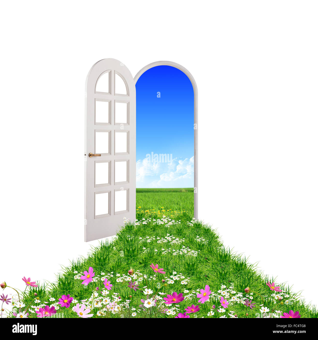 open door leading to beautiful clean nature with green grass and blue ...