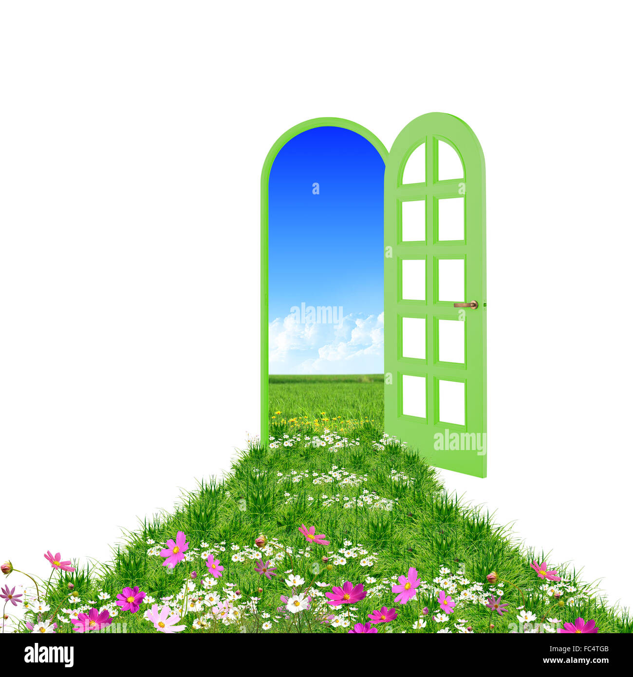 open door leading to beautiful clean nature with green grass and blue ...