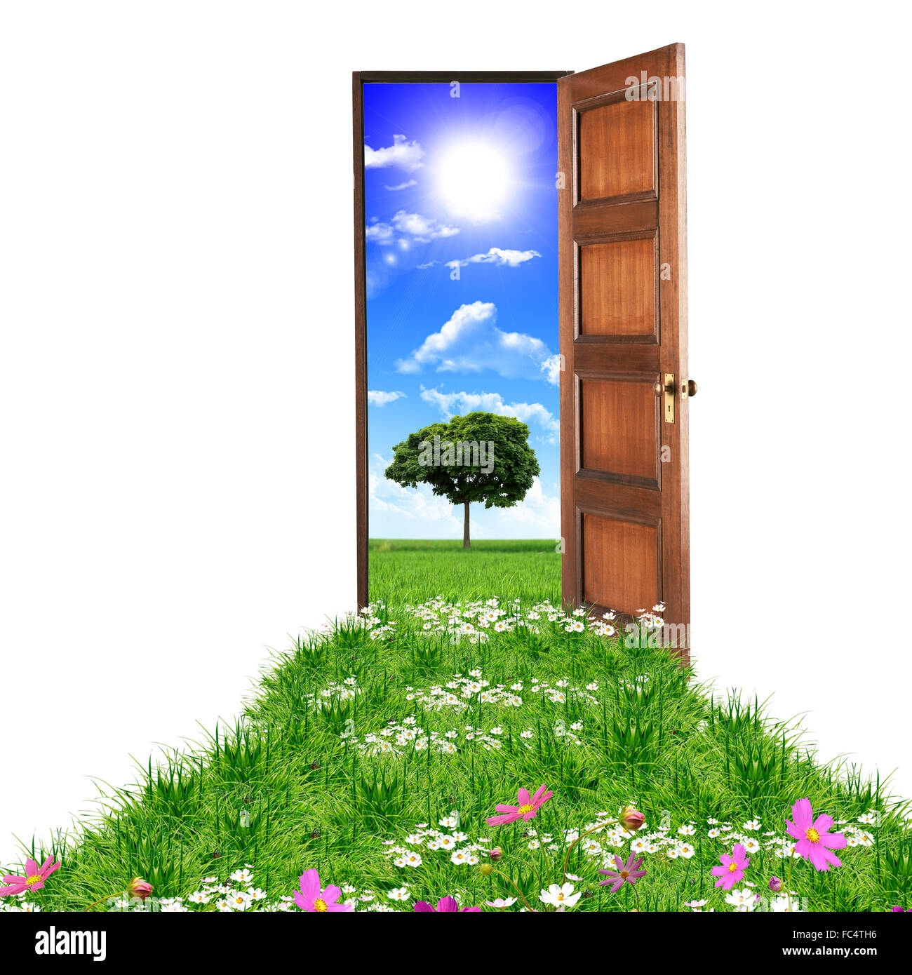open door leading to beautiful clean nature with green grass and blue ...