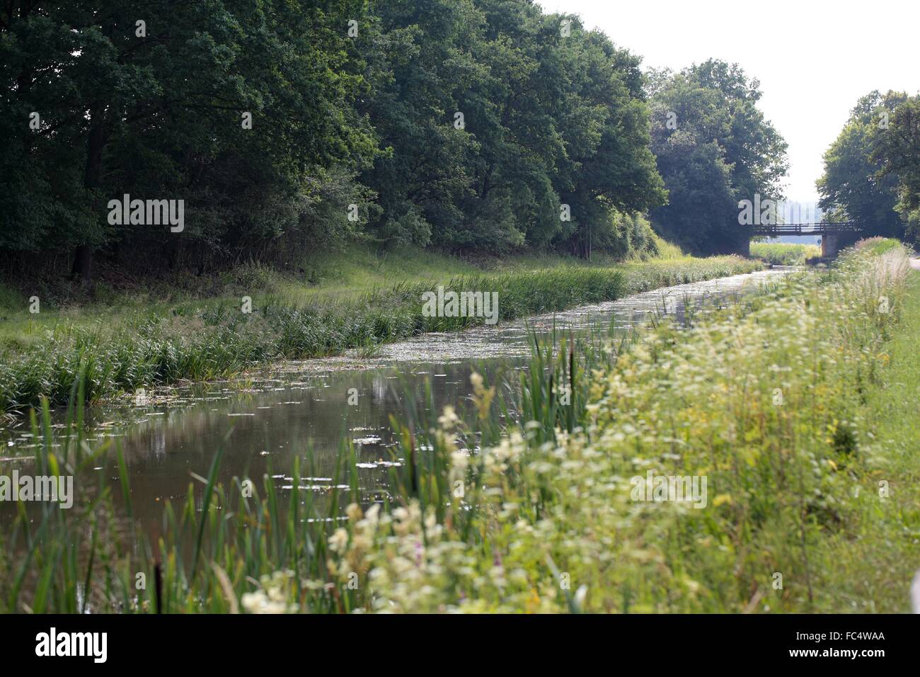 Ludwig donau canal hi-res stock photography and images - Alamy