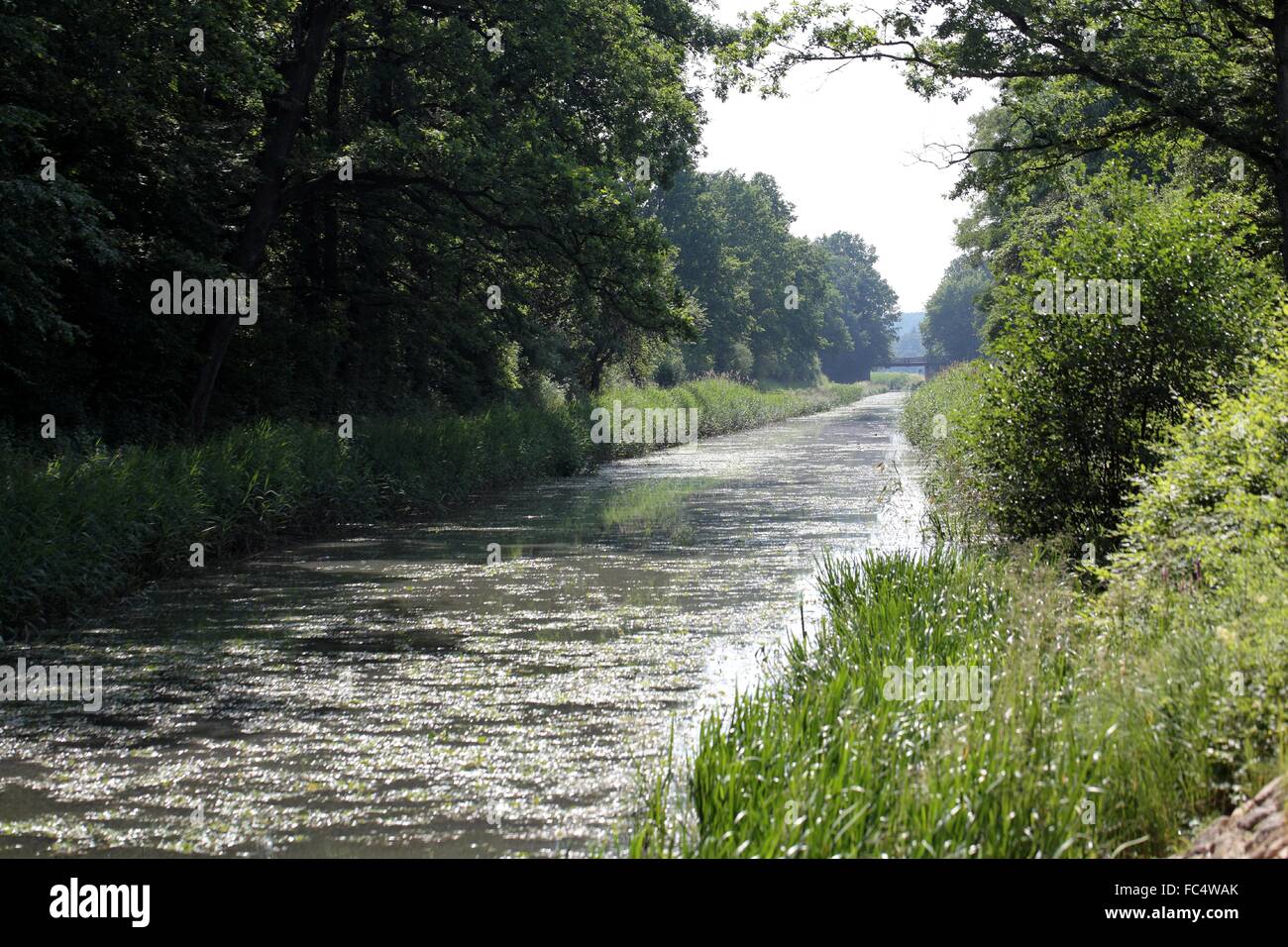 Ludwig canal hi-res stock photography and images - Alamy