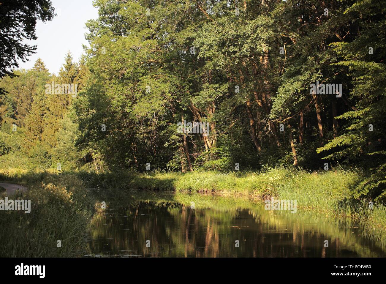 Ludwig canal hi-res stock photography and images - Alamy