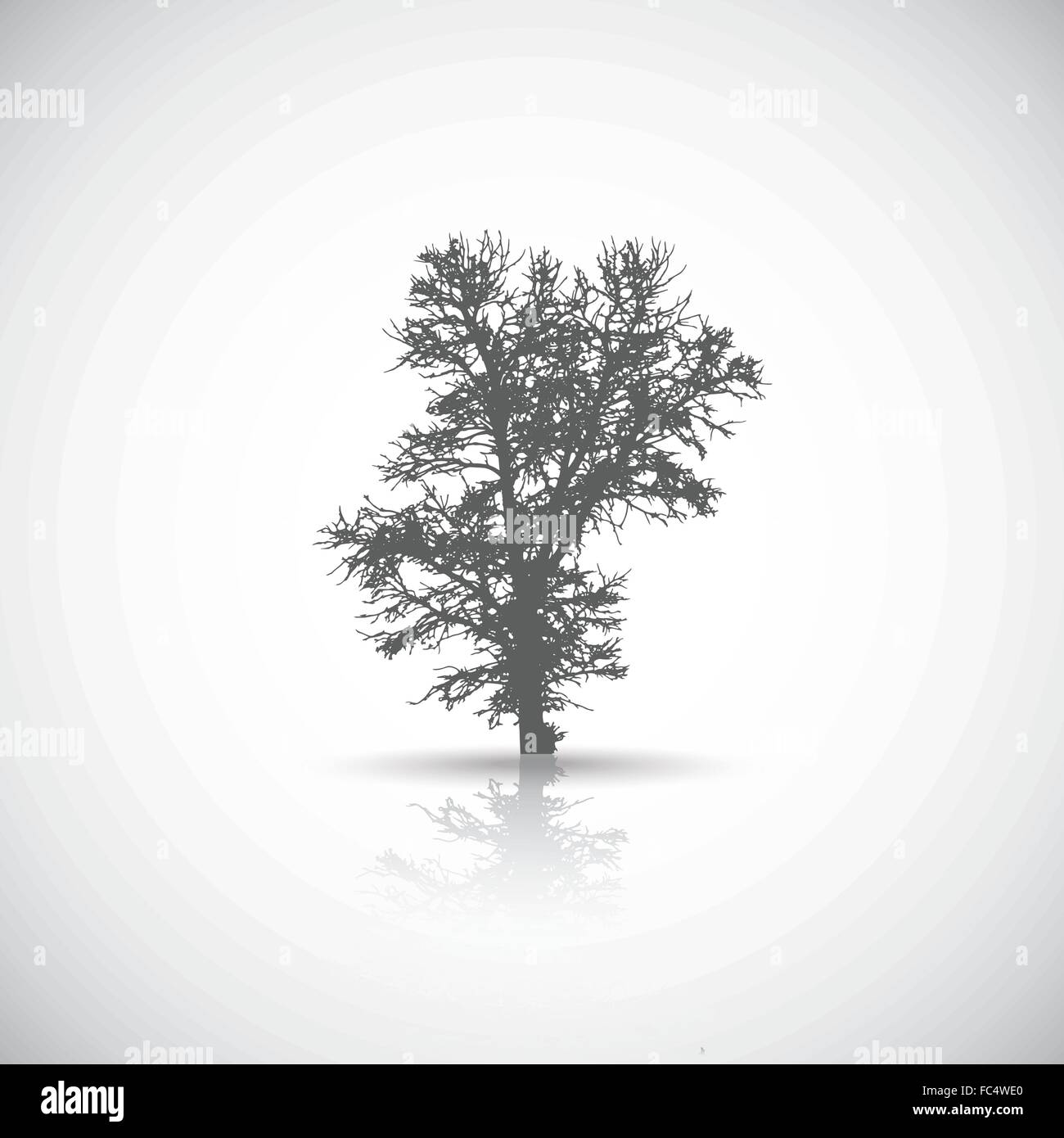 Strong oak tree Stock Vector Images - Alamy