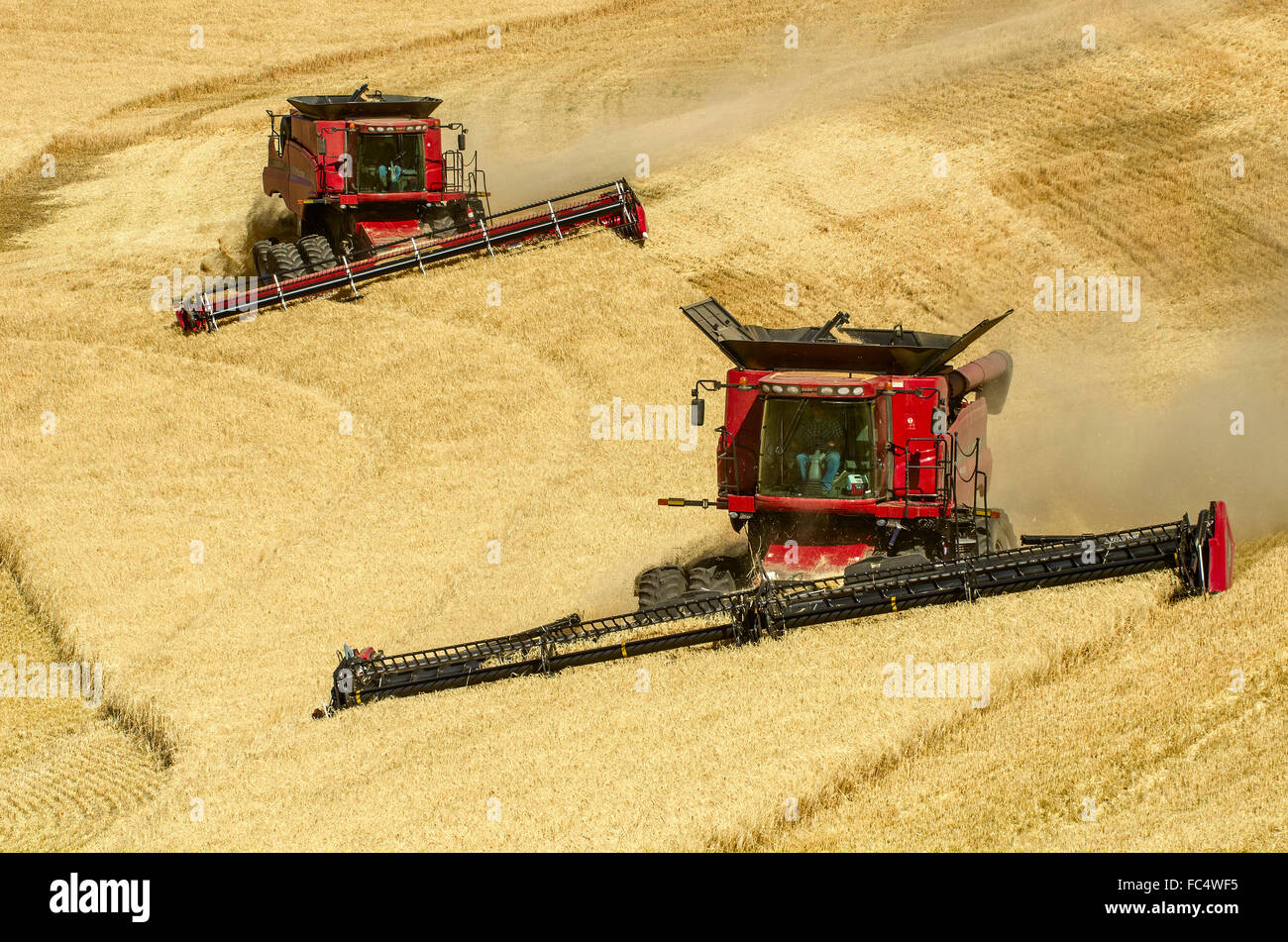 A pair of combines harvesting barley in the Palouse region of ...