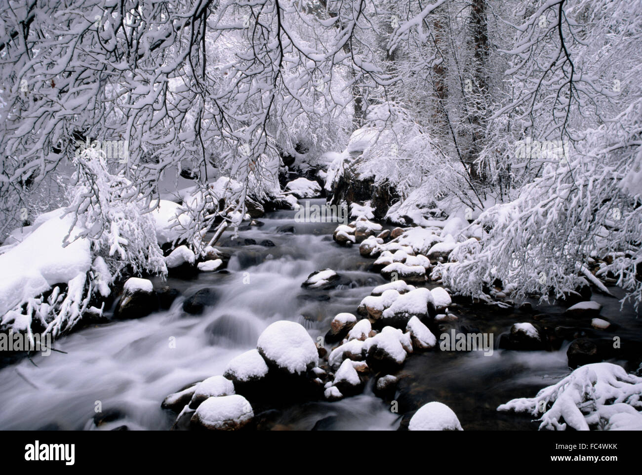 January snowstorm transforms Utah's Big Cottonwood Canyon into a winter ...