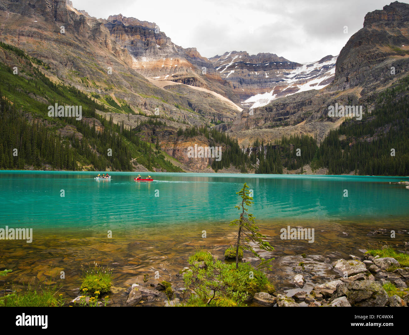 Low-angle view of beautiful, remote Lake O'Hara, with Seven Veils Falls ...