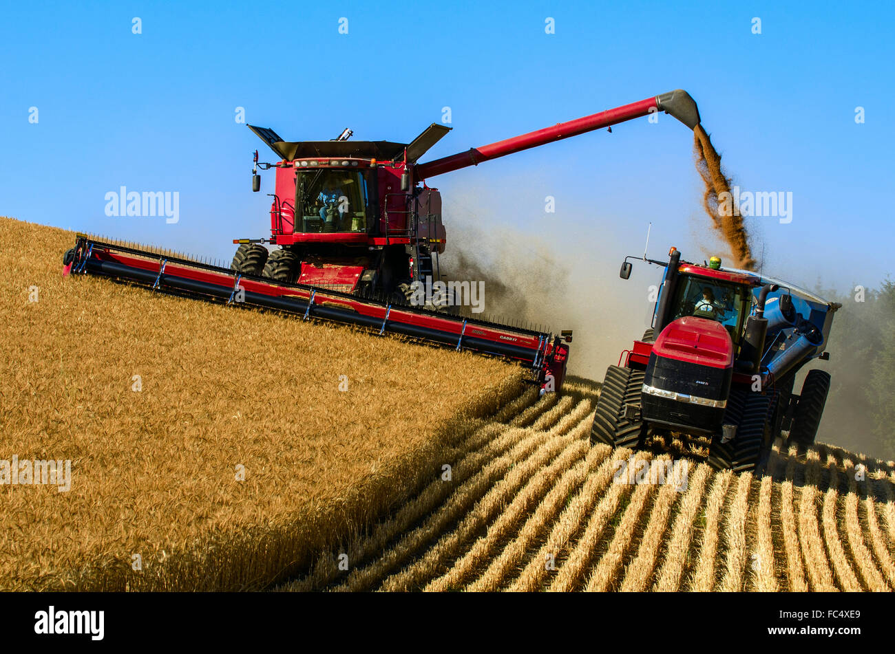 One or more combines offloading grain to a tractor pulled grain cart in ...