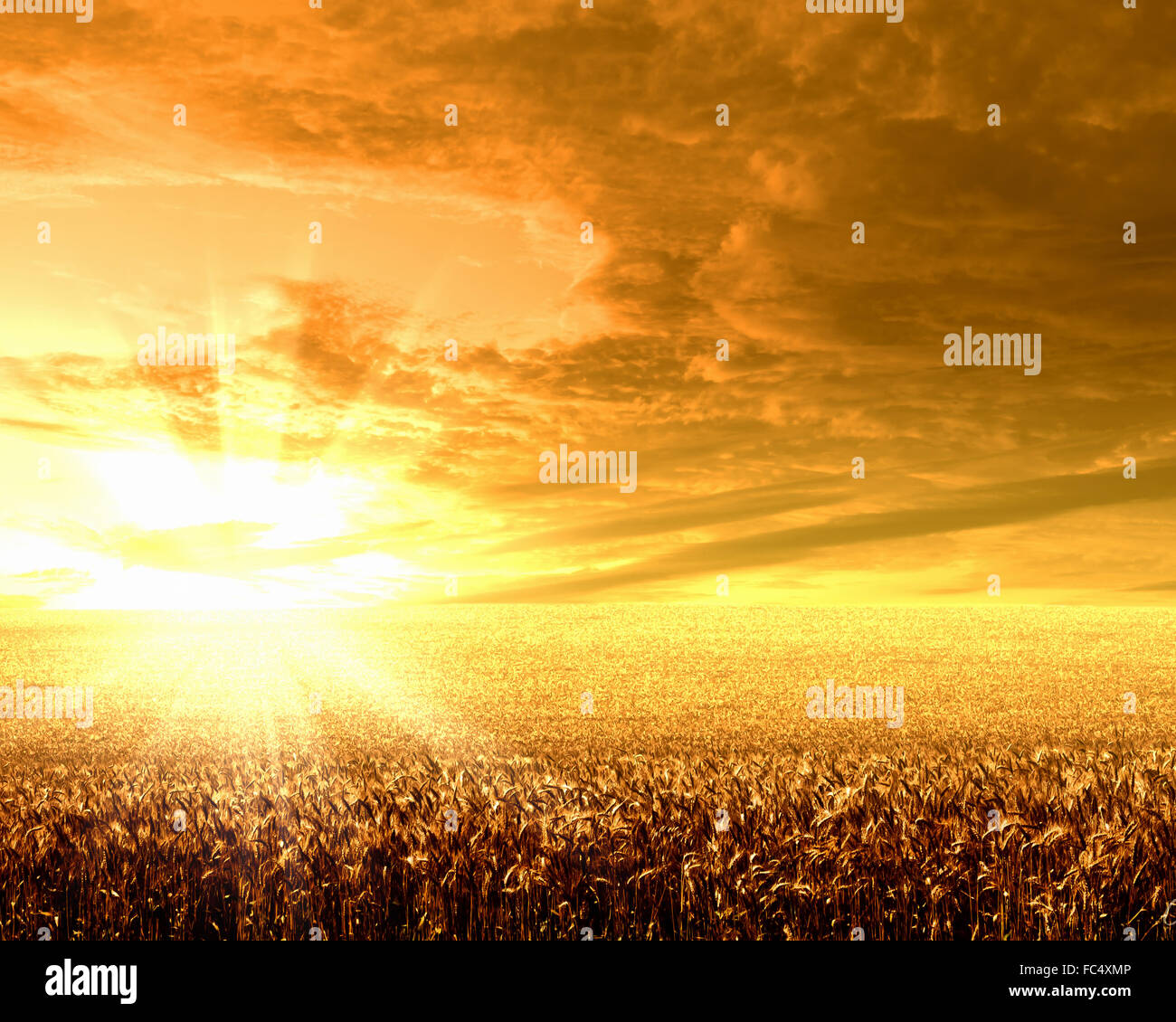 Image of a rural landscape under shining sunlight Stock Photo - Alamy