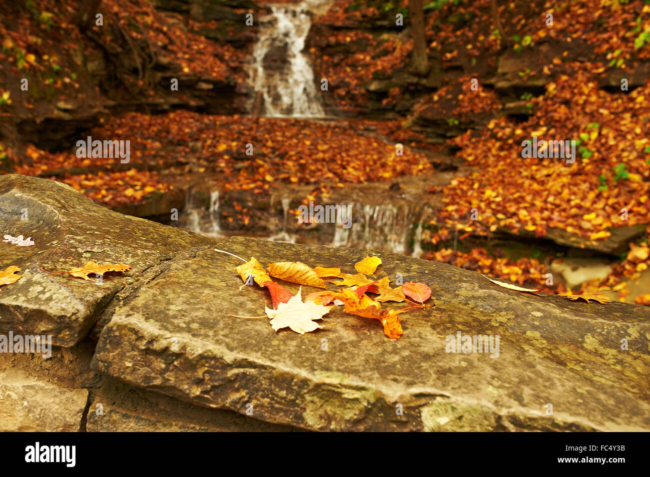 Autumn scene of waterfall Stock Photo - Alamy