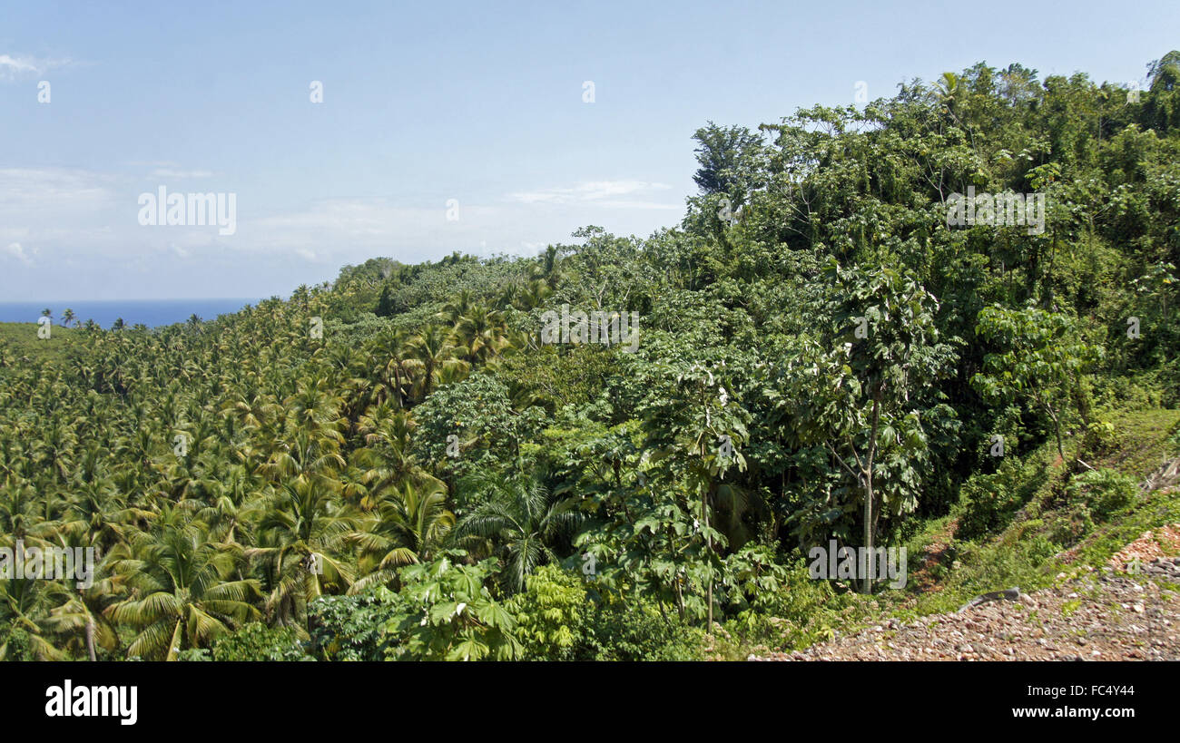 Caribbean landscape hi-res stock photography and images - Alamy