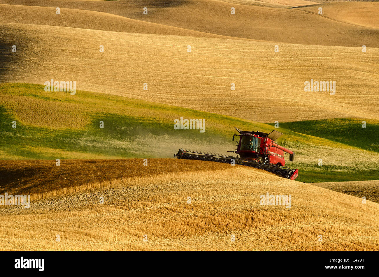 A Case combine harvests grain in the Palouse region of Eastern ...