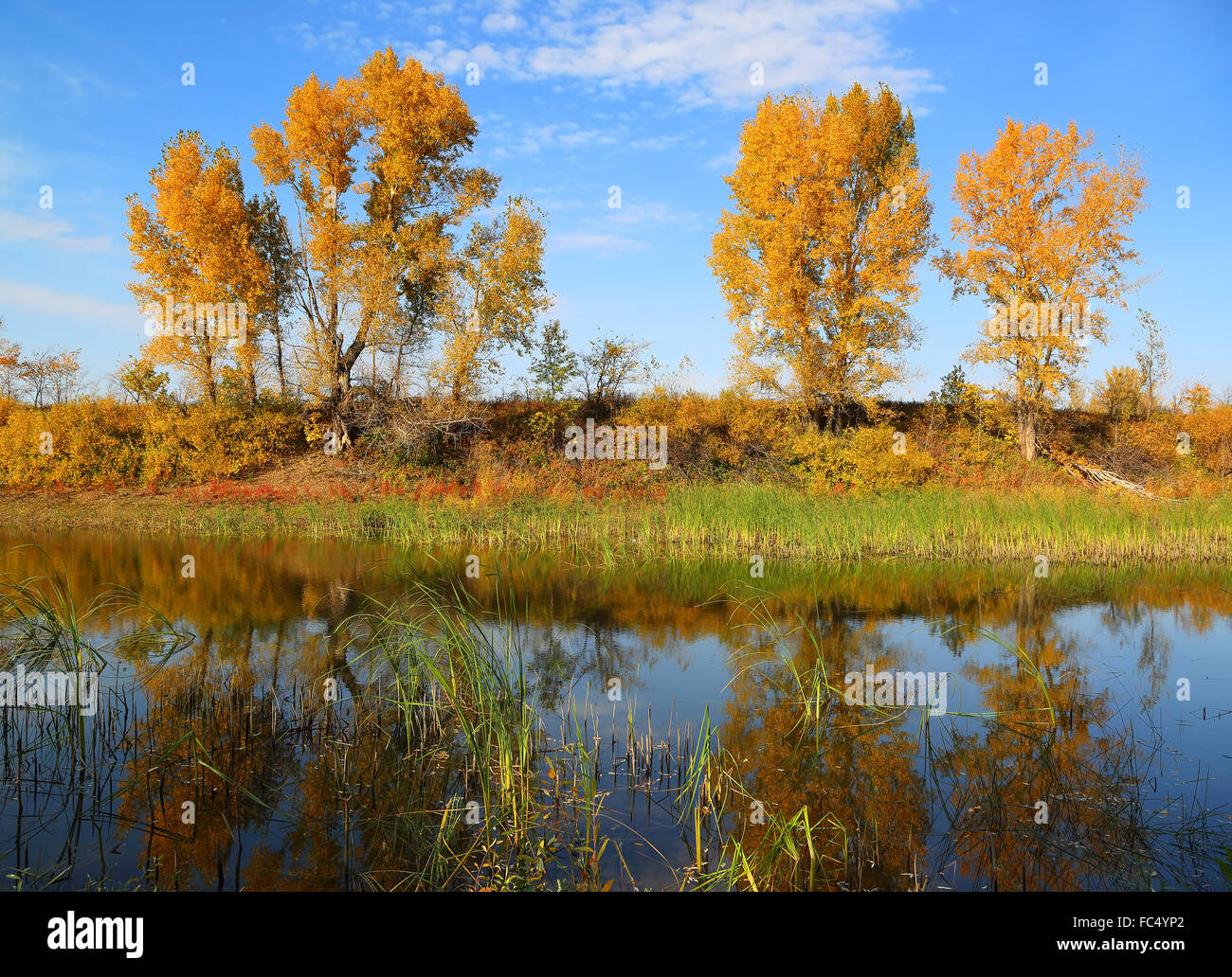 Beautiful lake landscape hi-res stock photography and images - Alamy