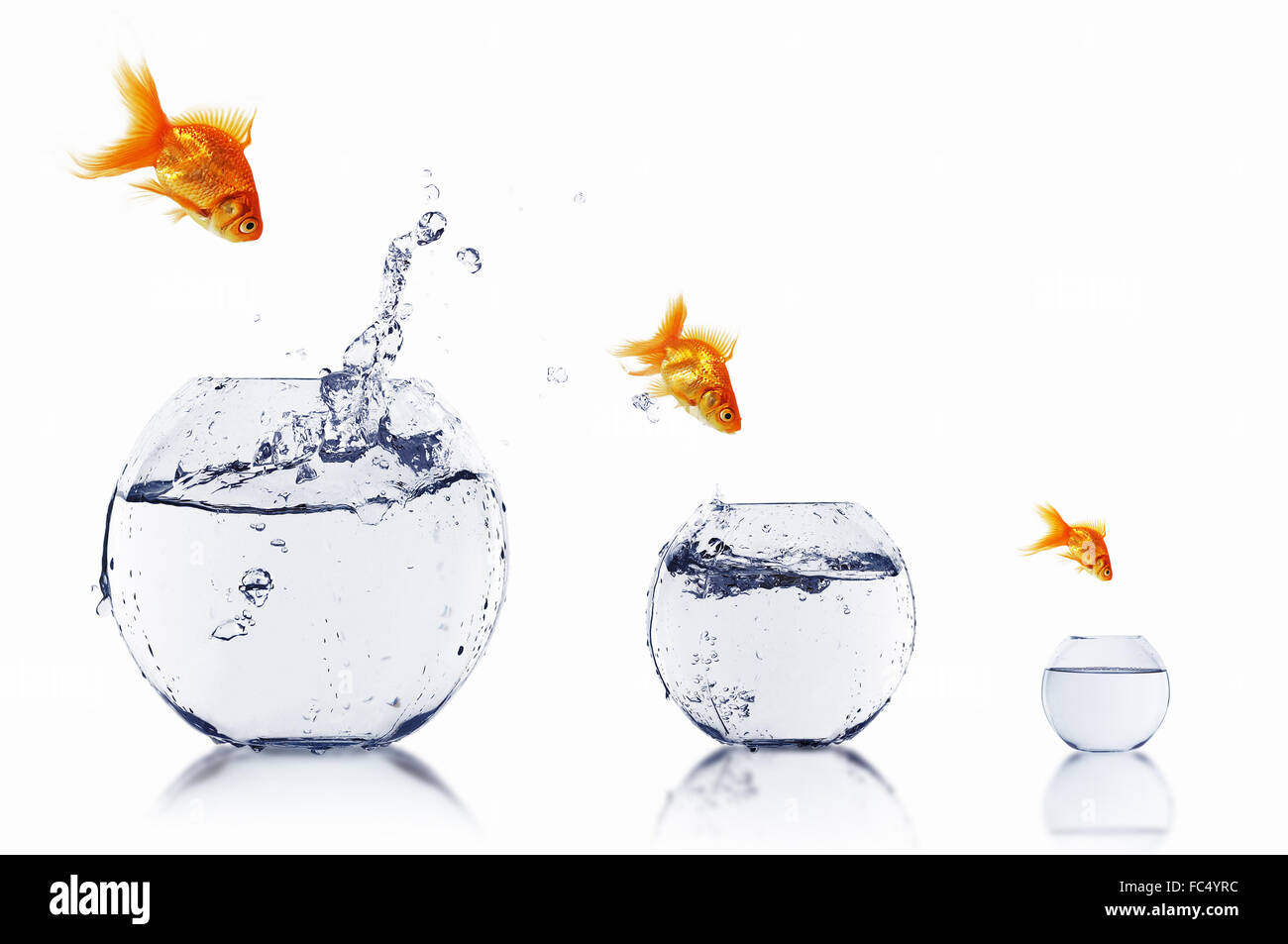 Gold fish jumping out of fish bowl hi-res stock photography and images ...