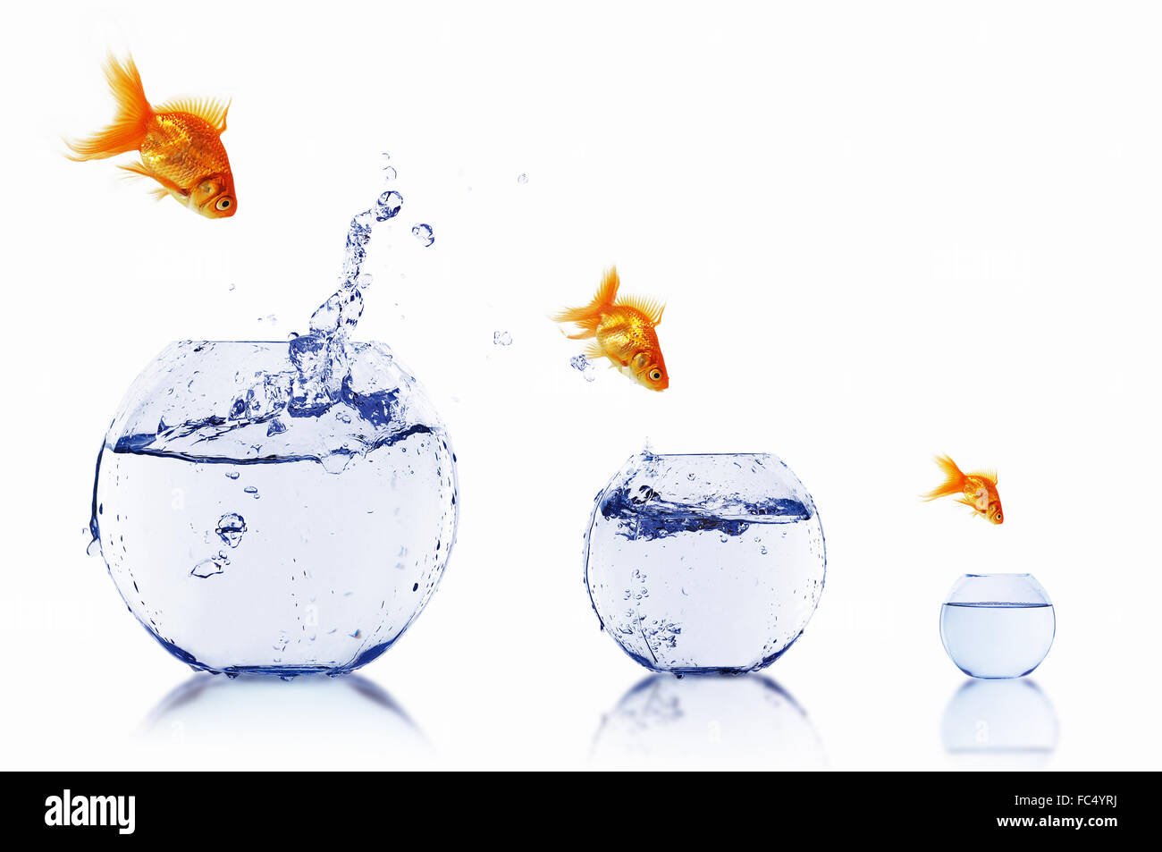 Gold Fish Jumping Out Of Fish Bowl High Resolution Stock Photography ...