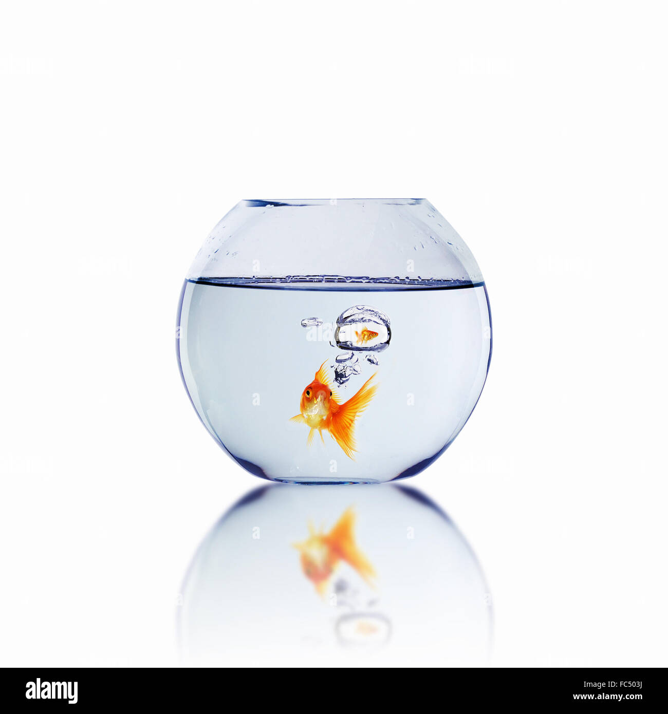 Blue fish ocean wave Cut Out Stock Images & Pictures - Alamy