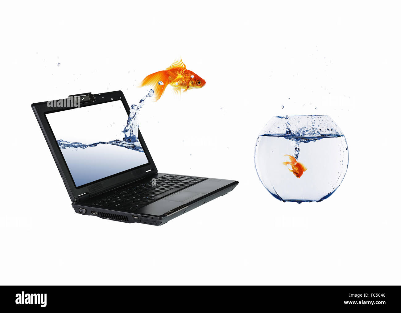 picture of gold fish and laptop computer Stock Photo - Alamy