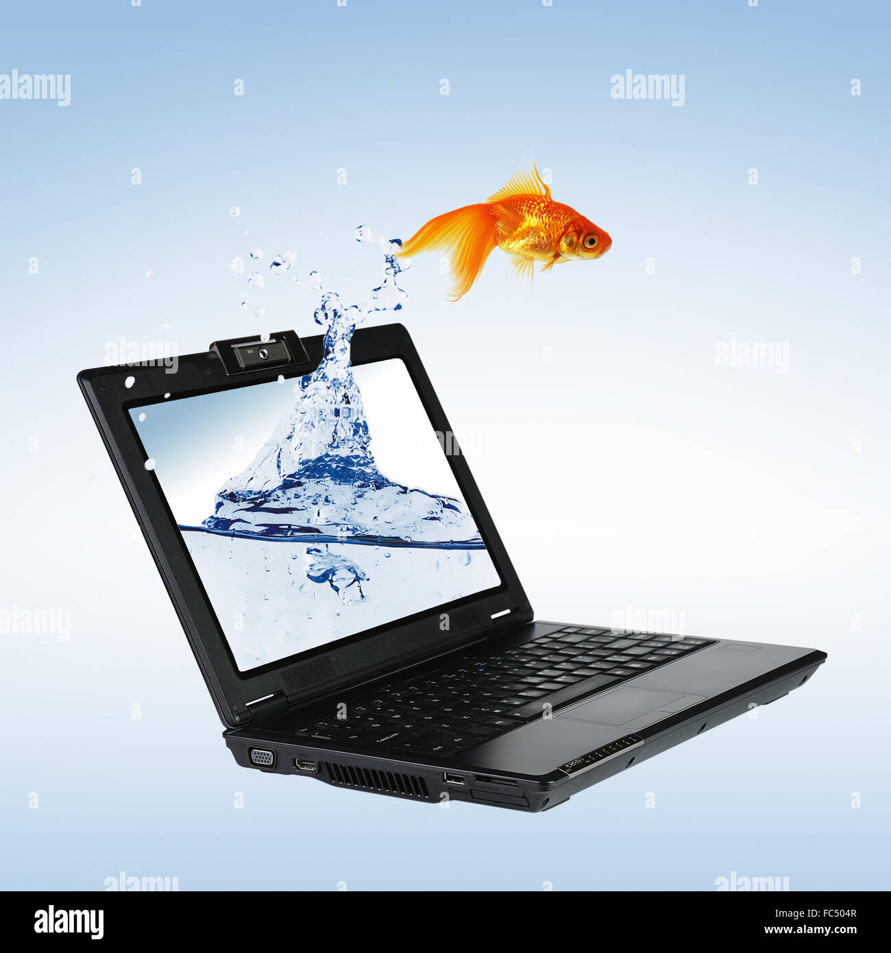 picture of gold fish and laptop computer Stock Photo - Alamy
