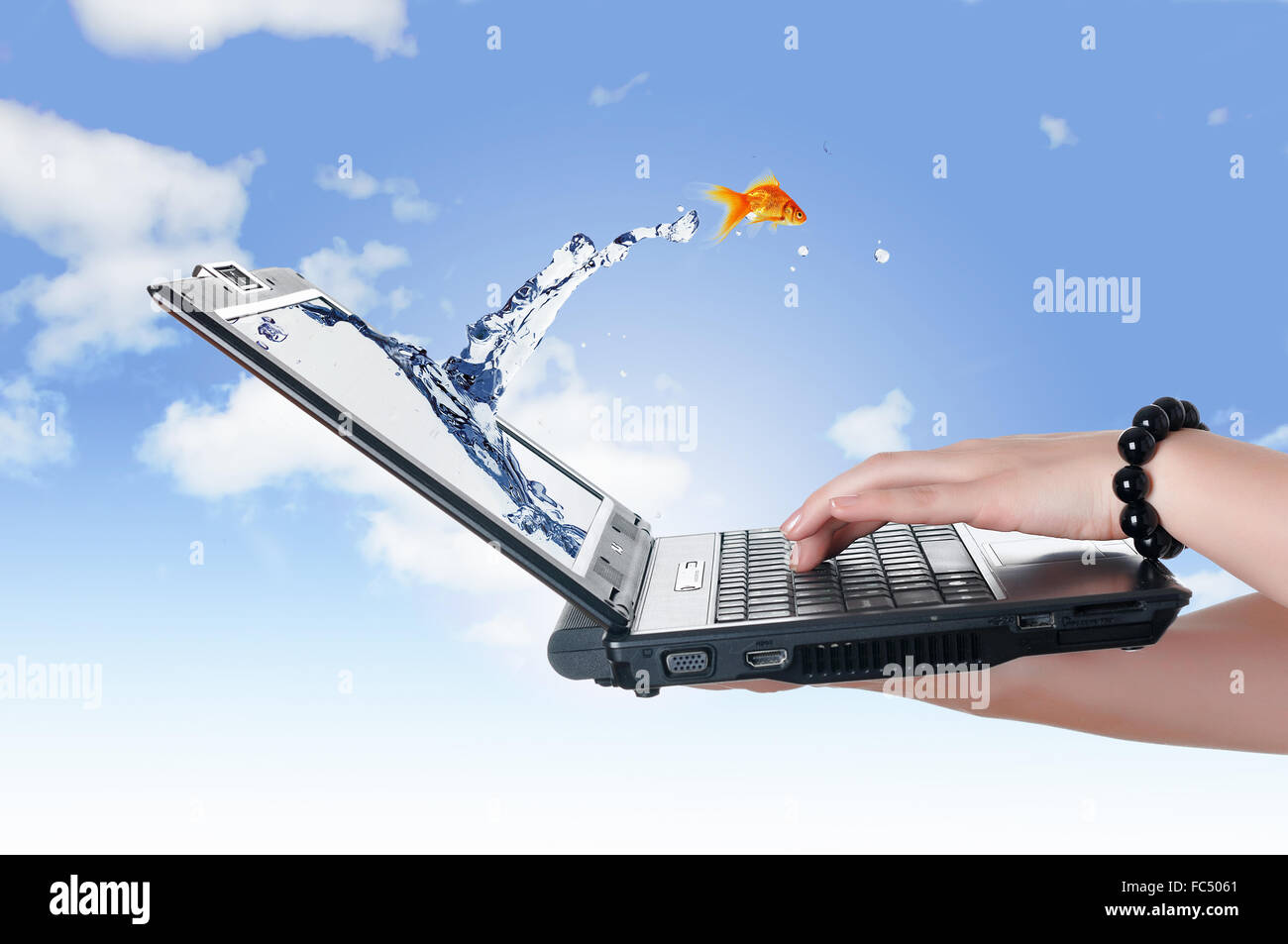picture of gold fish and laptop computer Stock Photo - Alamy