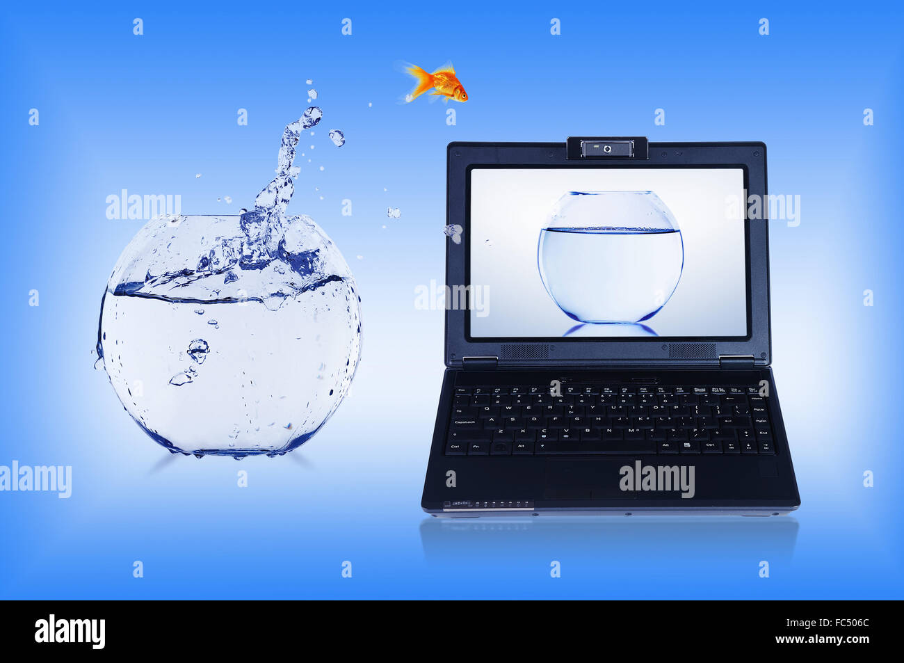 picture of gold fish and laptop computer Stock Photo - Alamy