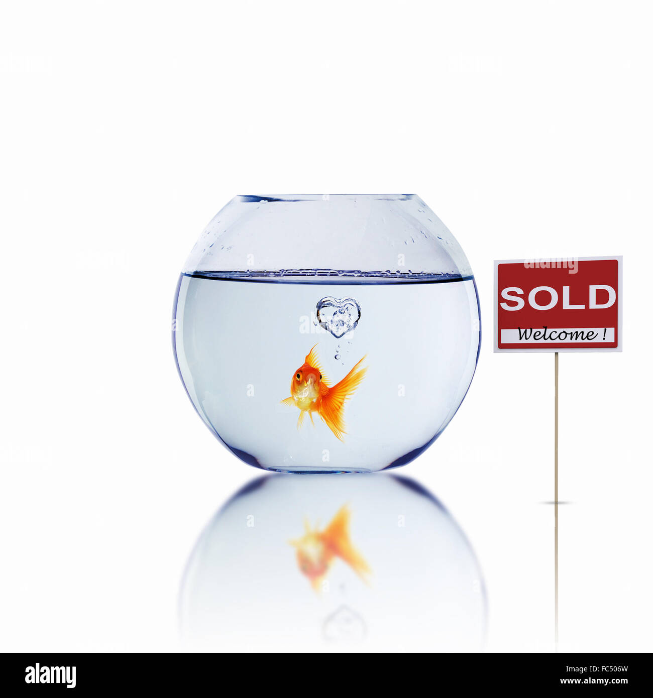 Fish for sale sign Cut Out Stock Images & Pictures - Alamy