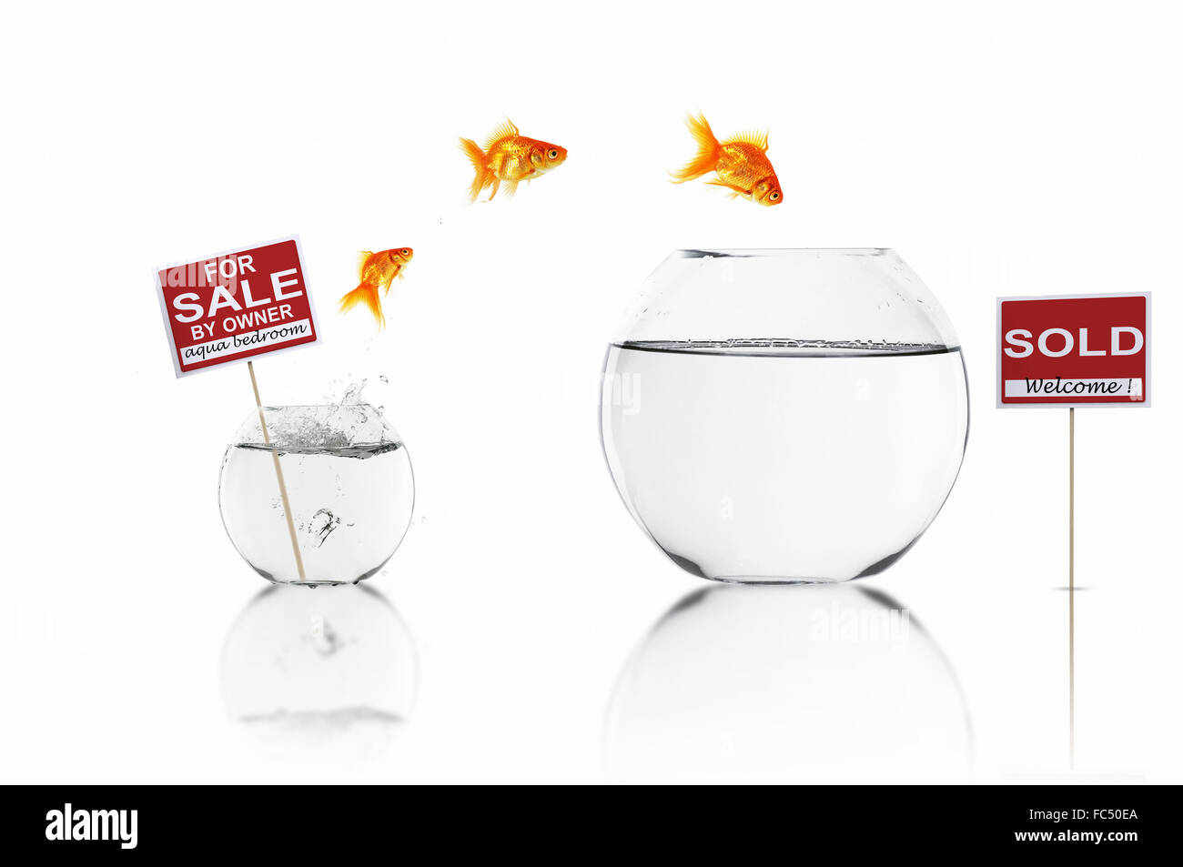 gold fish in a fishbowl with sign of sale Stock Photo - Alamy