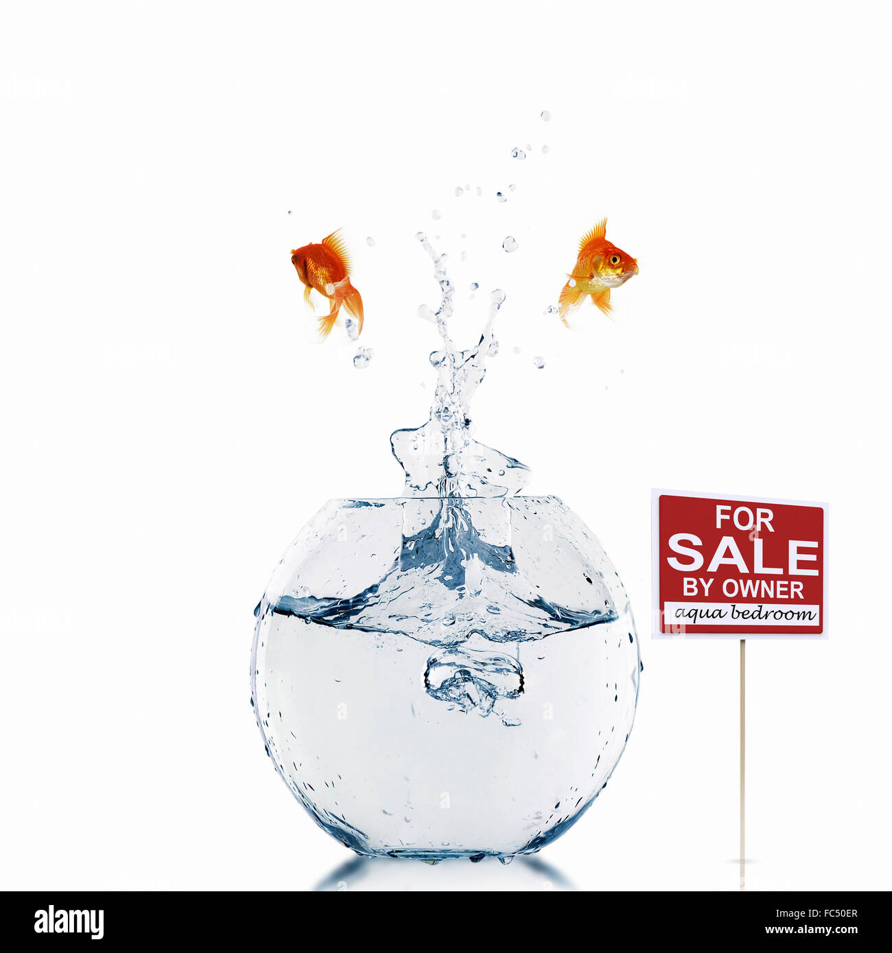 gold fish in a fishbowl with sign of sale Stock Photo - Alamy